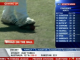What is Ball Tampering Scandal, Rules, And History of Ball Tampering ...