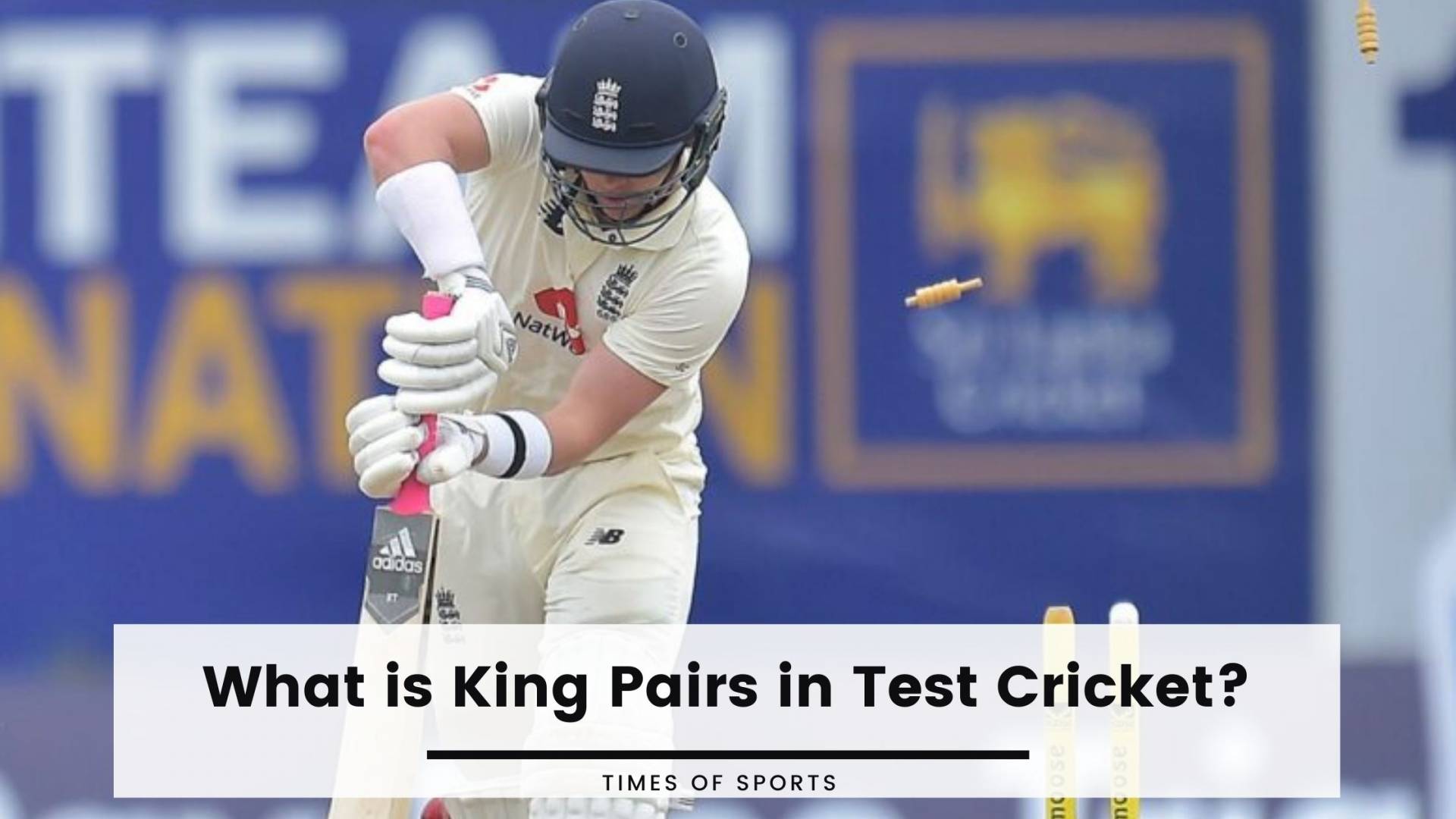 What is King Pair in Test Cricket? Most Duck Out 2 Innings