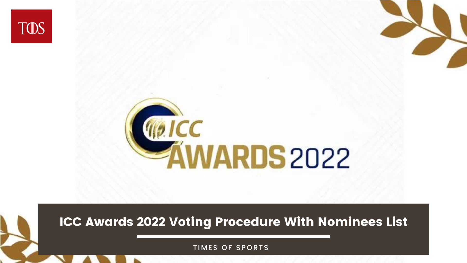 ICC Awards 2022 Voting Procedure With Nominees List