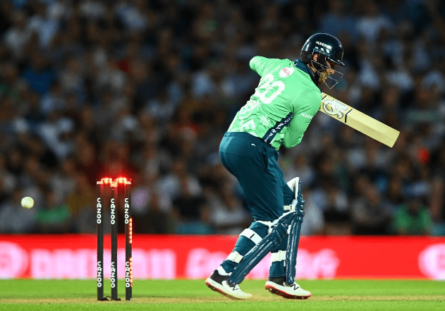 Stumps and Bails Price in Cricket, From Old to New