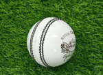 Different types of balls in cricket - All Formats