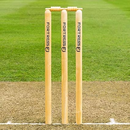 Stumps and Bails Price in Cricket, From Old to New